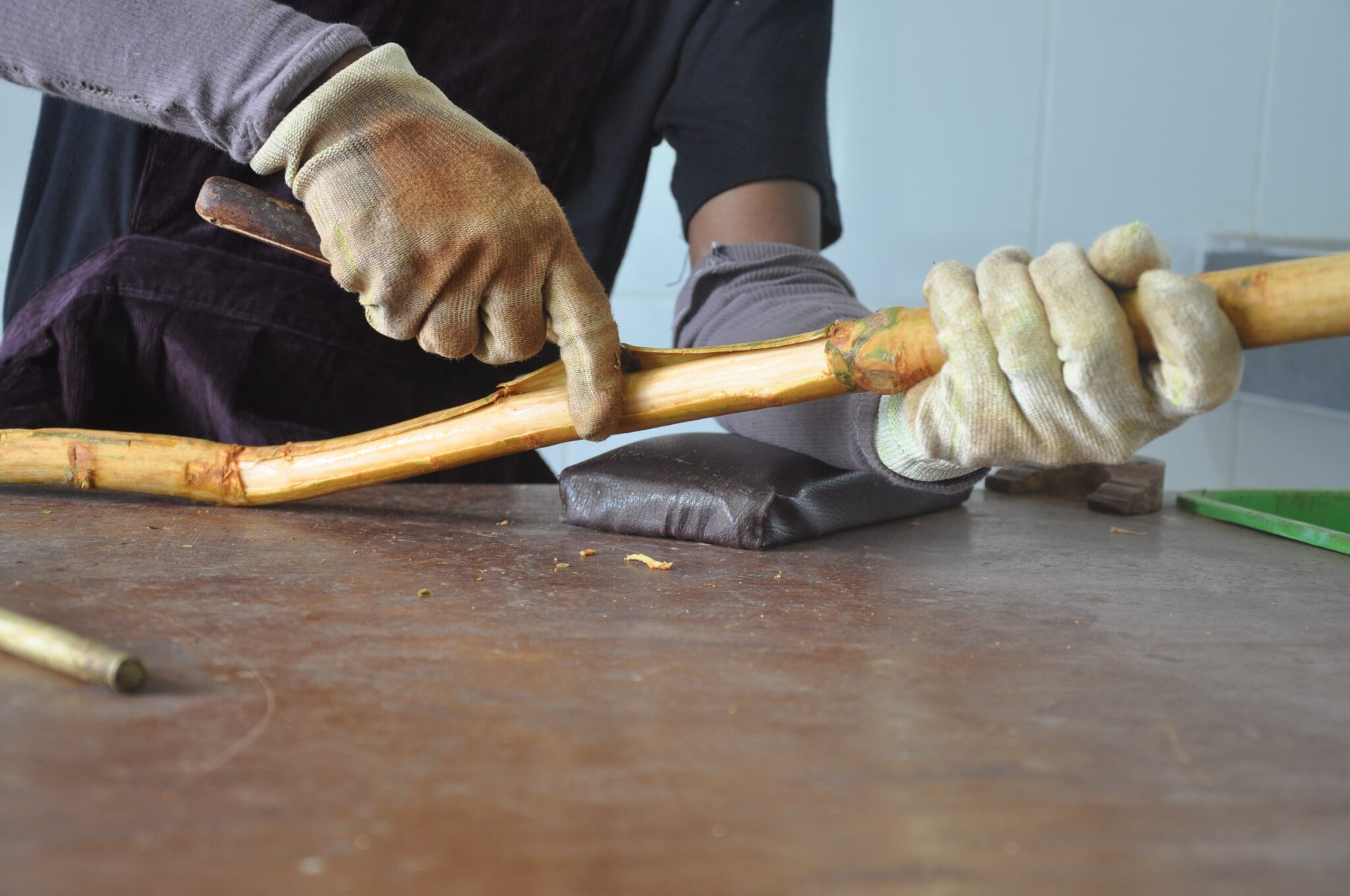 Post Harvest Technology – Department of Cinnamon Development