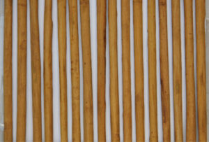 Post Harvest Technology – Department of Cinnamon Development