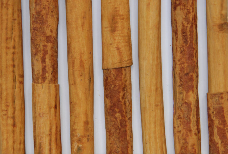 Post Harvest Technology – Department of Cinnamon Development