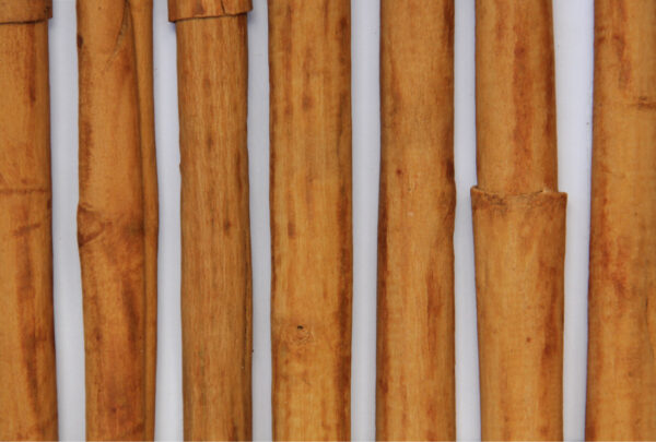 Post Harvest Technology – Department of Cinnamon Development