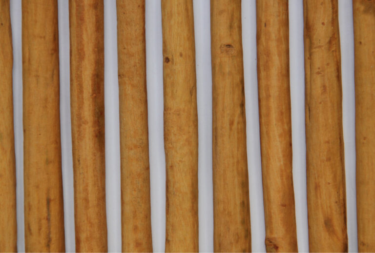 Post Harvest Technology – Department of Cinnamon Development