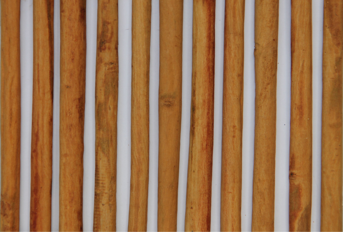 Post Harvest Technology – Department of Cinnamon Development