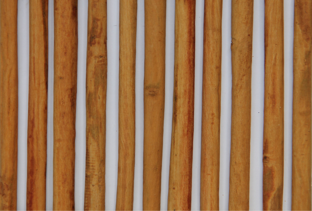 Post Harvest Technology – Department of Cinnamon Development