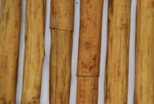 Post Harvest Technology – Department of Cinnamon Development