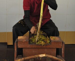 Post Harvest Technology – Department of Cinnamon Development